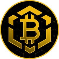 Bitcoin BSC Price, BTCBSC Price Chart & Market Cap | DigitalCoinPrice